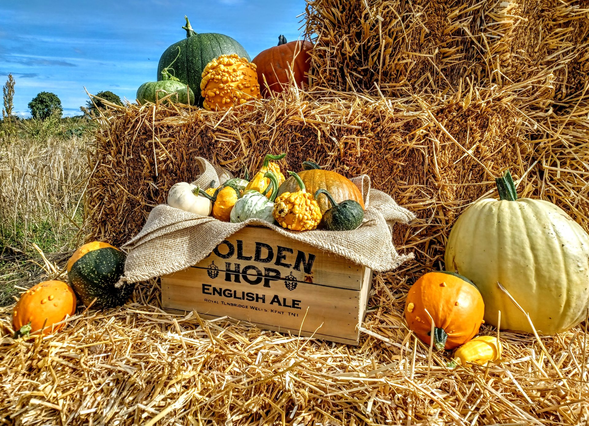 Guy Farm Pumpkin Patch - The Family Edit