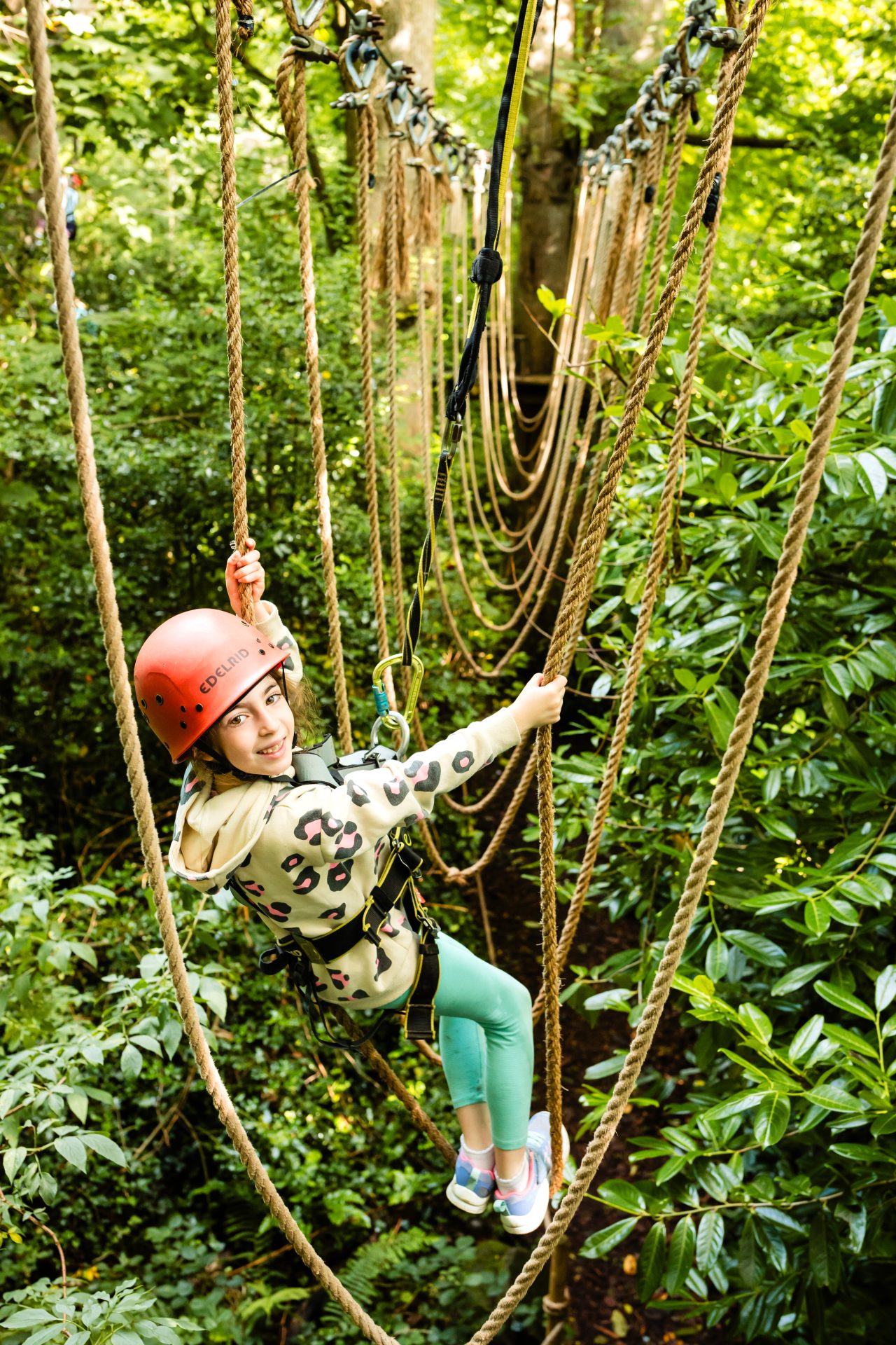 Squirrel's Scramble Tree Adventure Park - The Family Edit