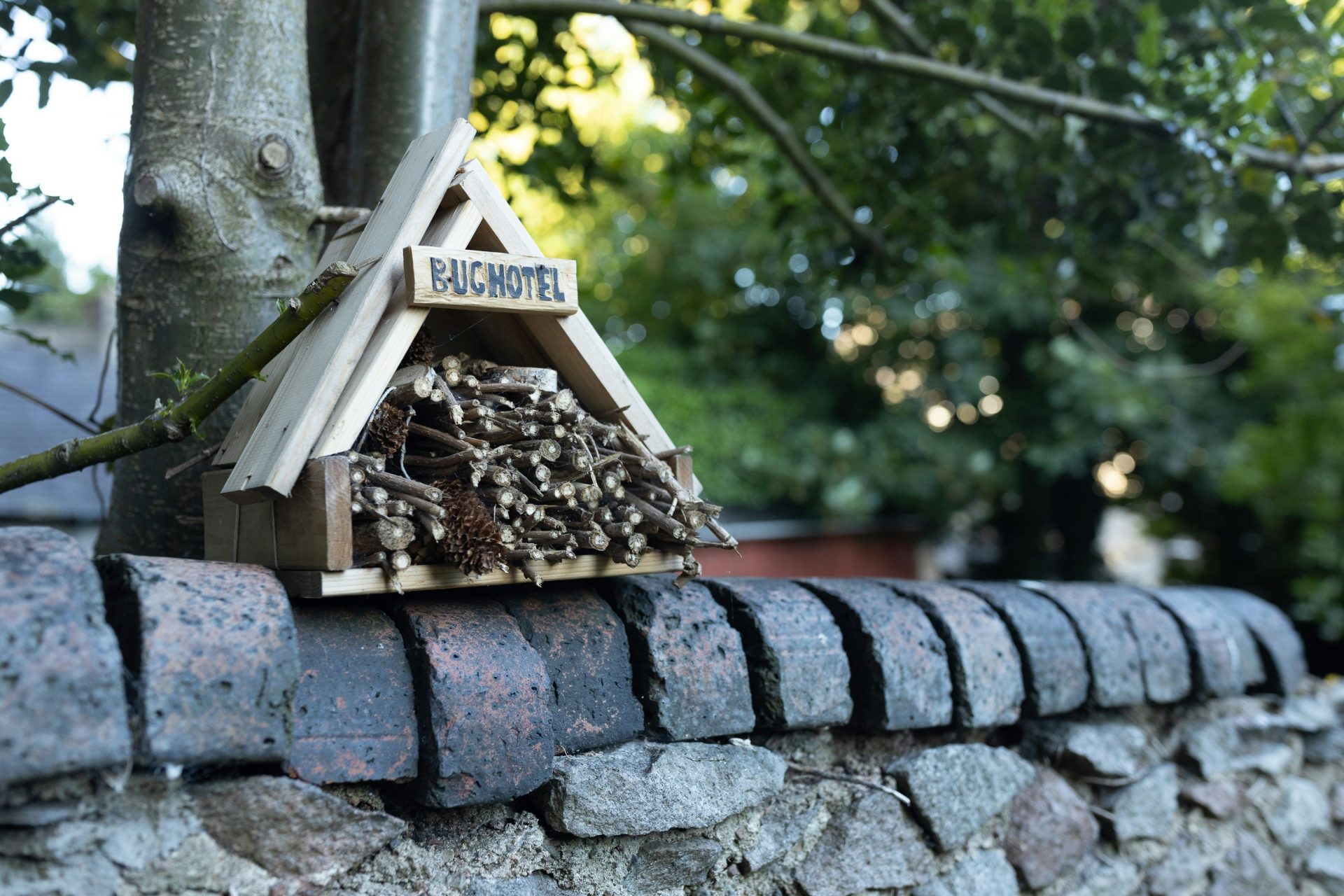 How to Create your own Bug Hotel | The Family Edit
